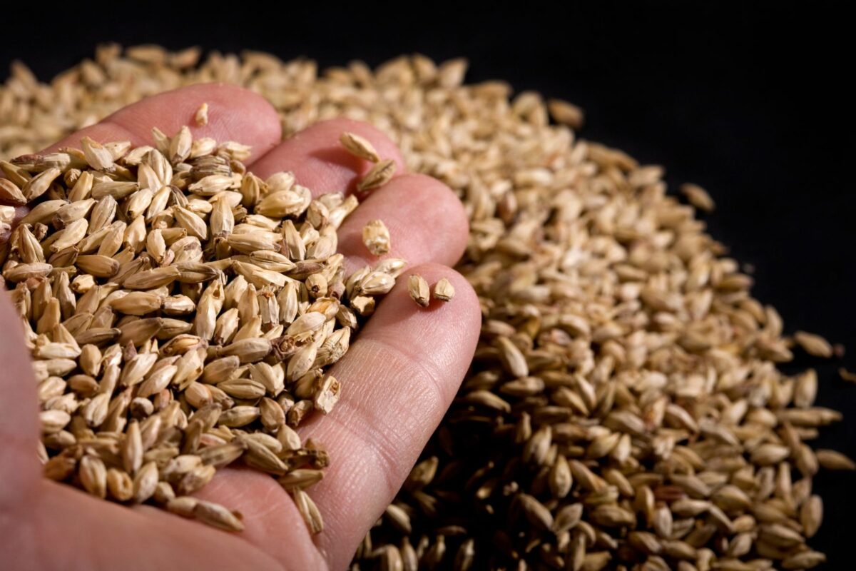 เรื่อง มอลต์ๆ มากกว่าที่คุณรู้จัก - HOP BAR